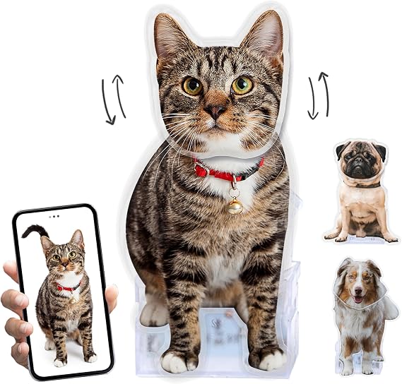 Amazon.com: Custom Automatic Shaking Head Decorations | Personalized ...