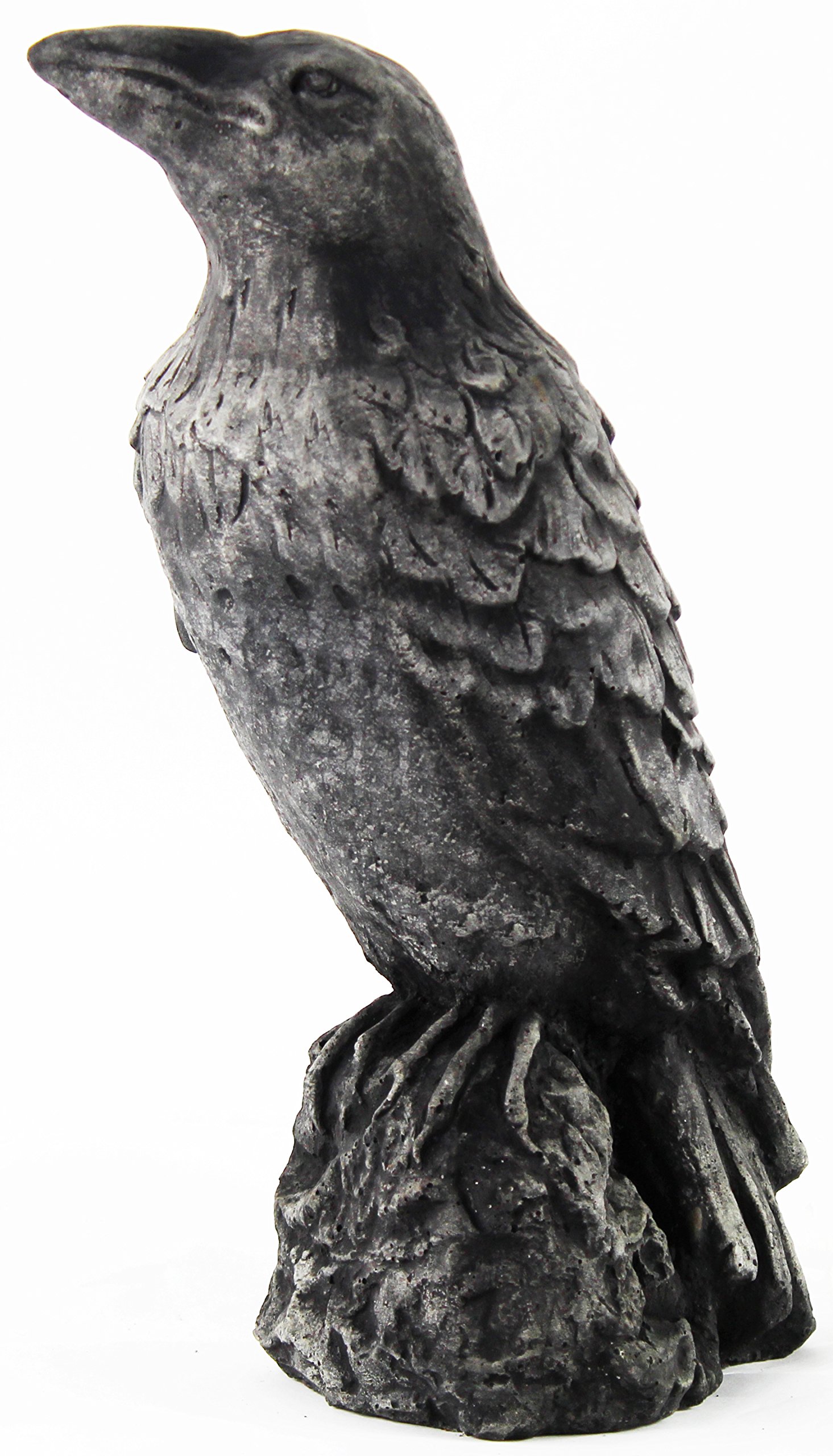 Amazon.com : Standing Raven Bird Cast Concrete Home and Garden Black ...