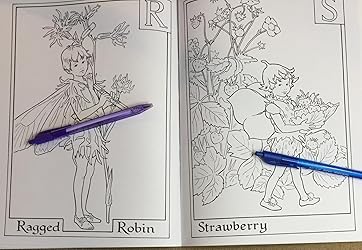 The Flower Fairies Alphabet Coloring Book: Barker, Cicely Mary ...