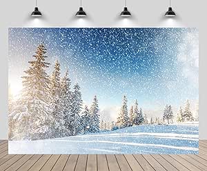 Amazon.com : CHNYWORK 9x6ft Winter Wonderland Backdrop Snowing Frozen ...