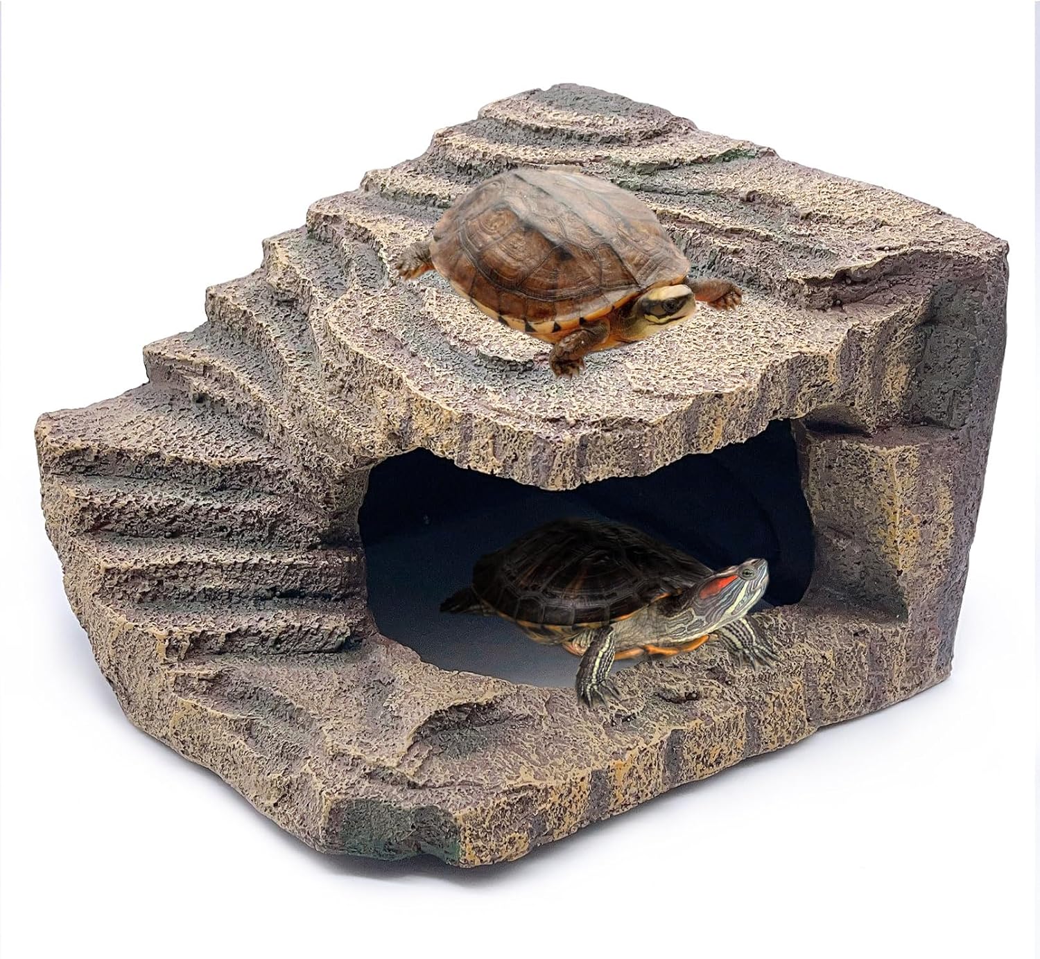 Amazon.com : BNOSDM Turtle Basking Climbing Platform Tortoise Resting ...