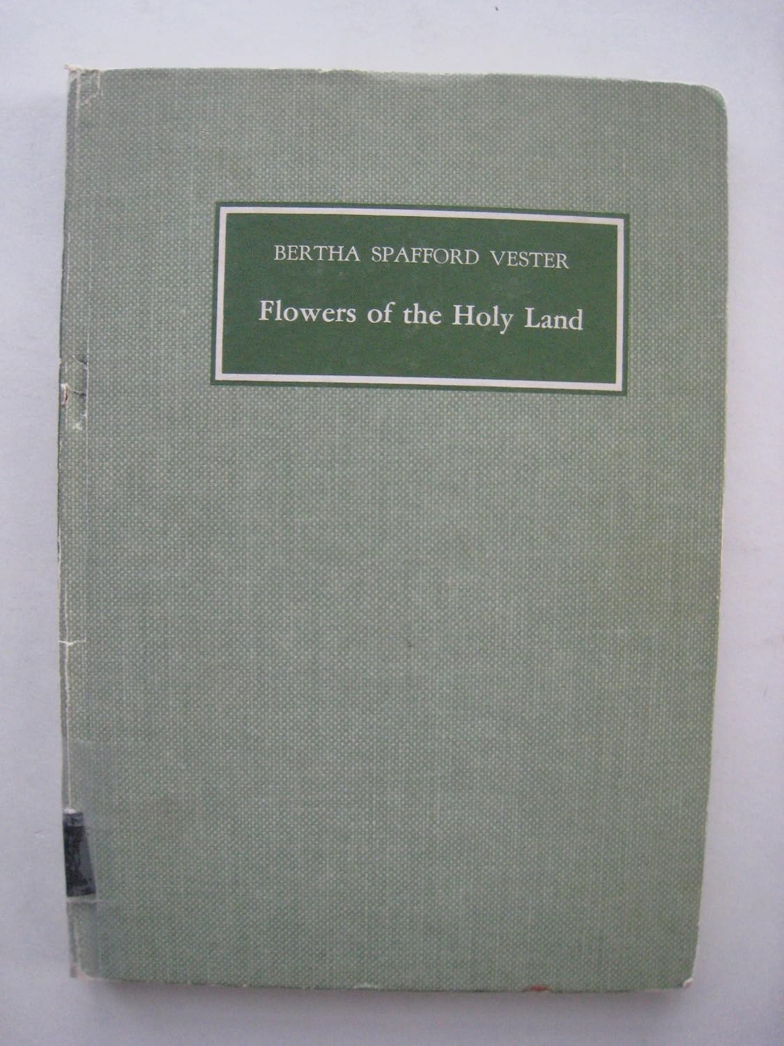 Flowers of the Holy Land: VESTER, BERTH SPAFFORD: Amazon.com: Books