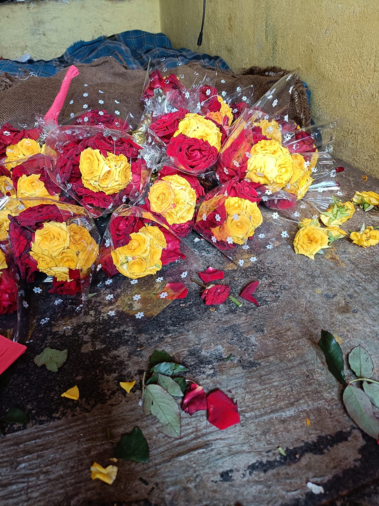 Spareworld Plastic Black Compressor Tray - Compatible with Whirlpool ...