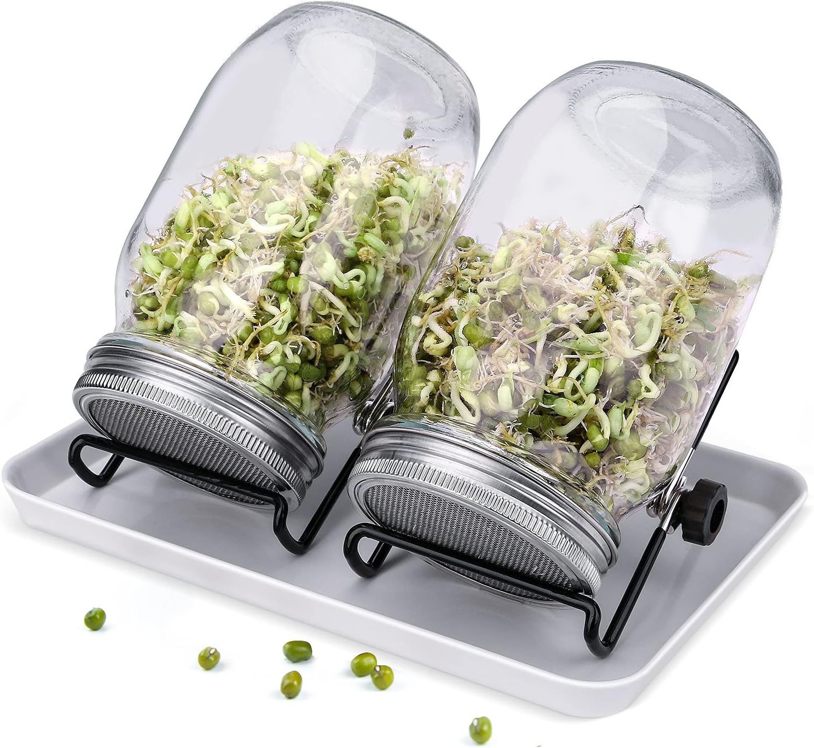 Seed Sprouting Jar Kit, 2 Mason Jars with Screen Sprout Lids, 2 ...