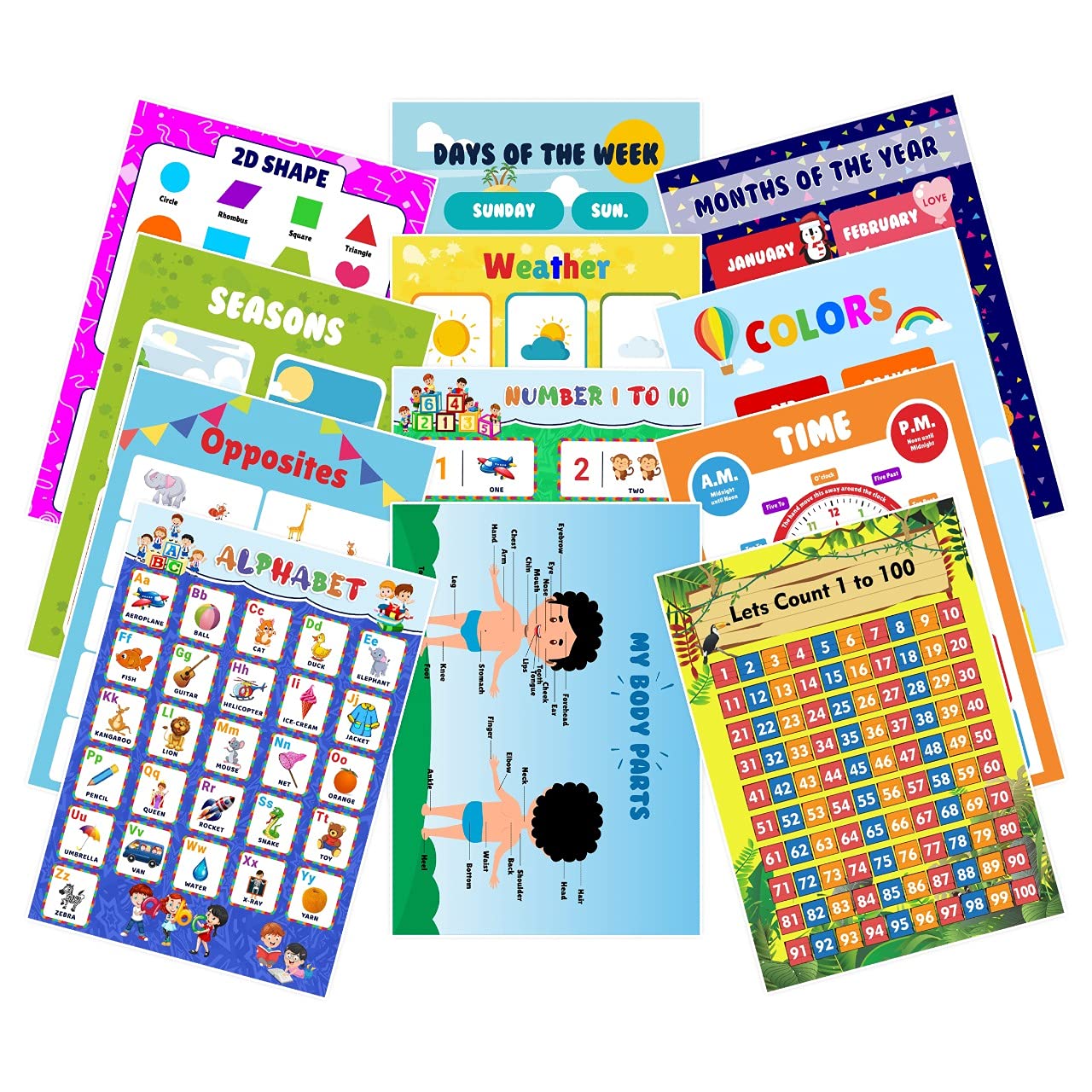Buy Critom 12 Toddlers Educational Posters Kids Preschool Posters buy-critom-12-toddlers-educational-posters-kids-preschool-posters