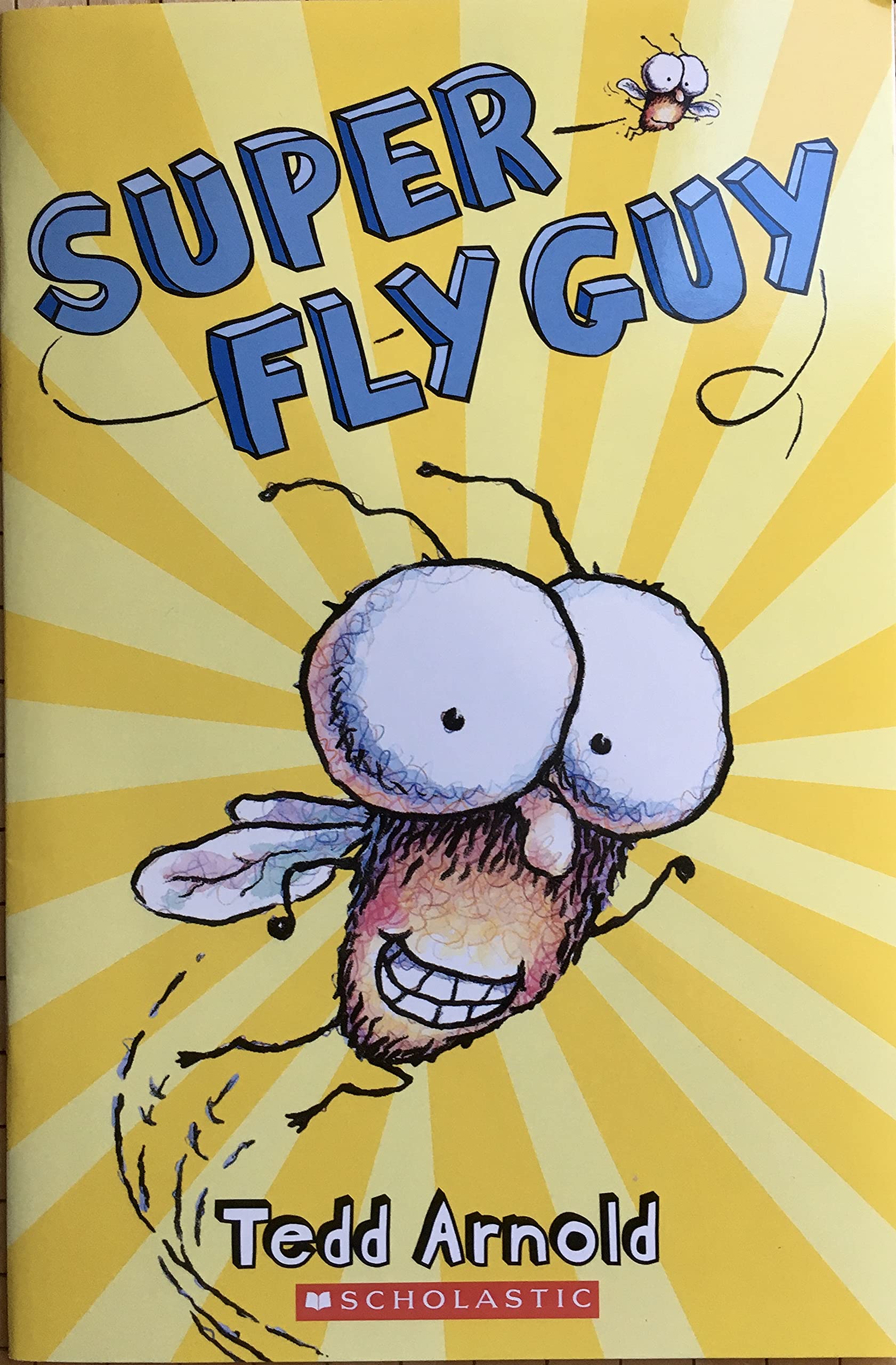 Fly Guy # 2: Super Fly Guy - Scholastic: Arnold, Tedd: 9780439923002: Amazon.com: Books