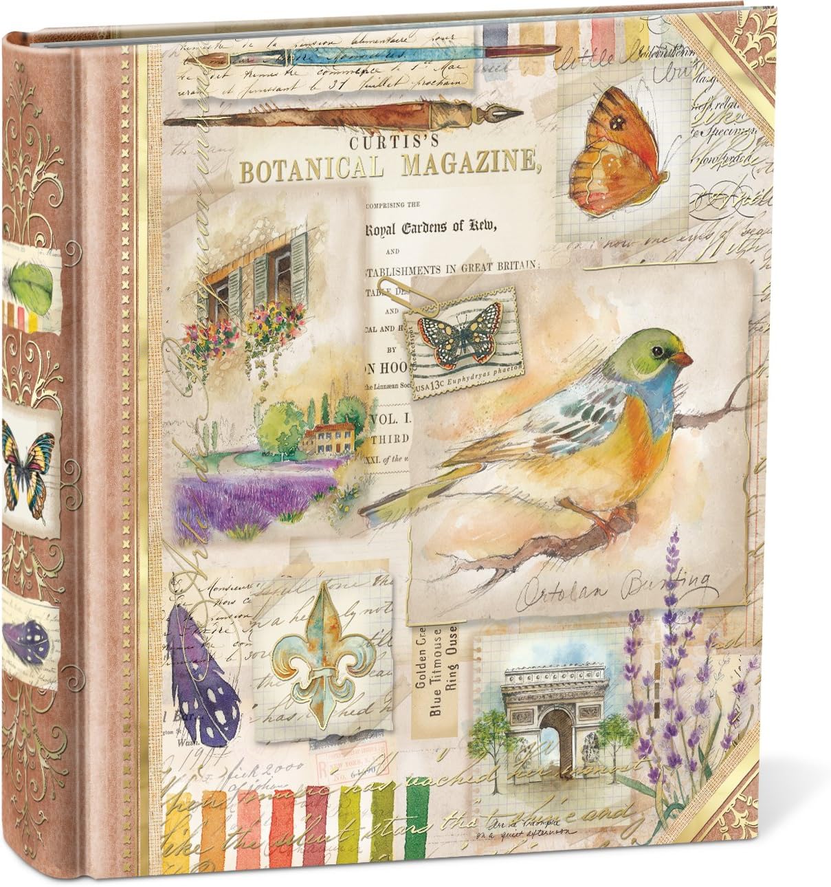 Amazon.com: Punch Studio Nature's Sketchbook Decorative Photo Album ...
