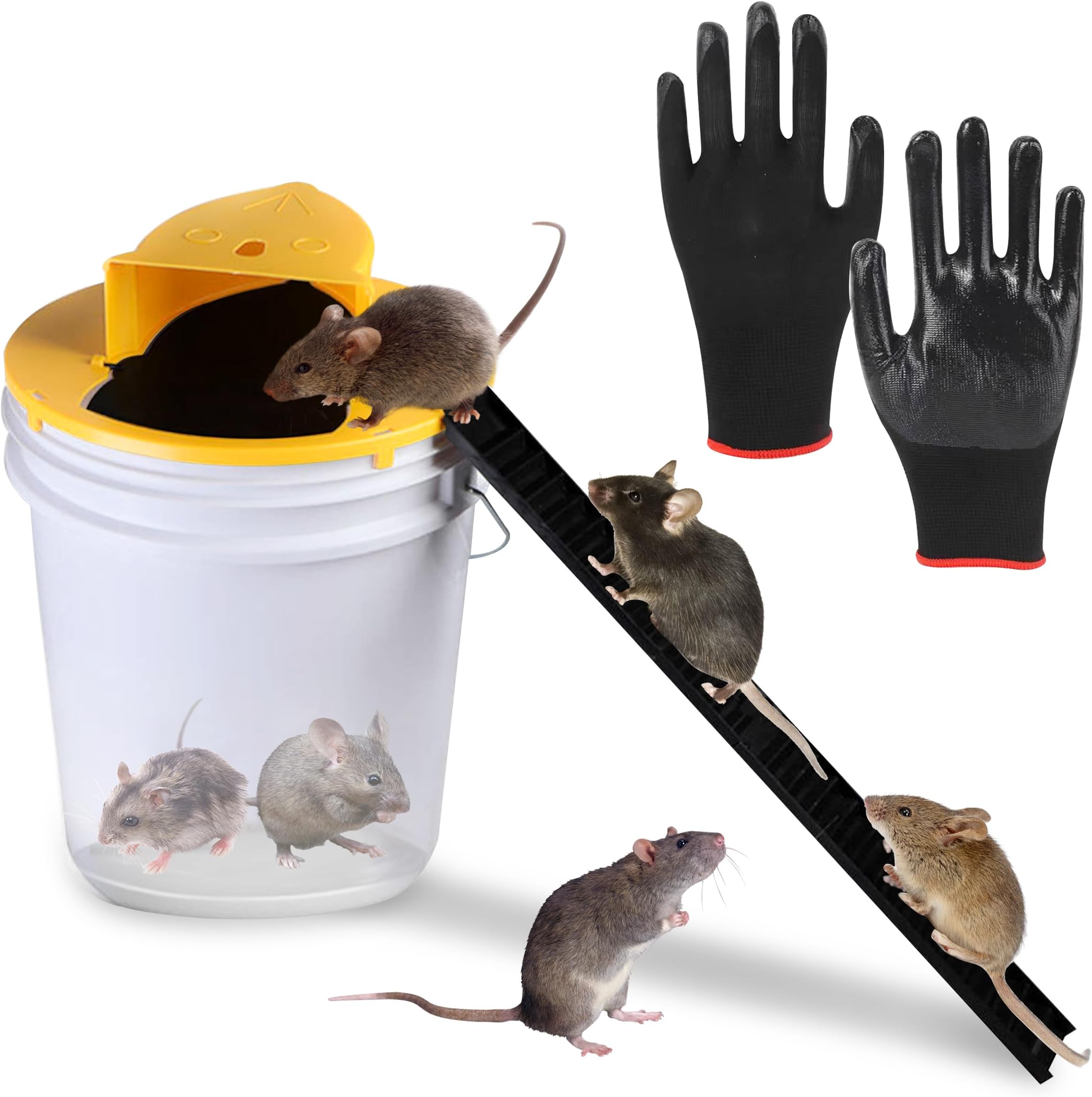 Amazon.com : Mouse Trap Bucket, Bucket Lid Mouse Trap,Reusable Humane ...
