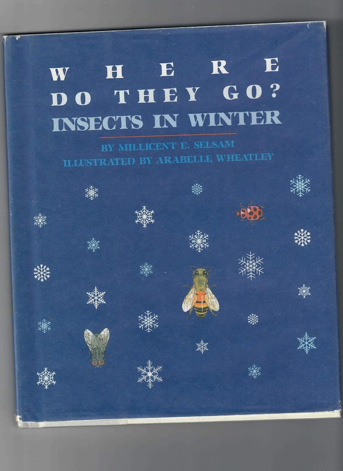 Where Do They Go? Insects in Winter: Unknown: 9780590078627: Amazon.com ...