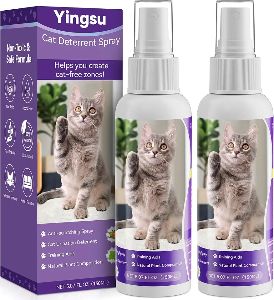 The Therapeutic Benefits Of Cats: How They Help Humans | PetShun