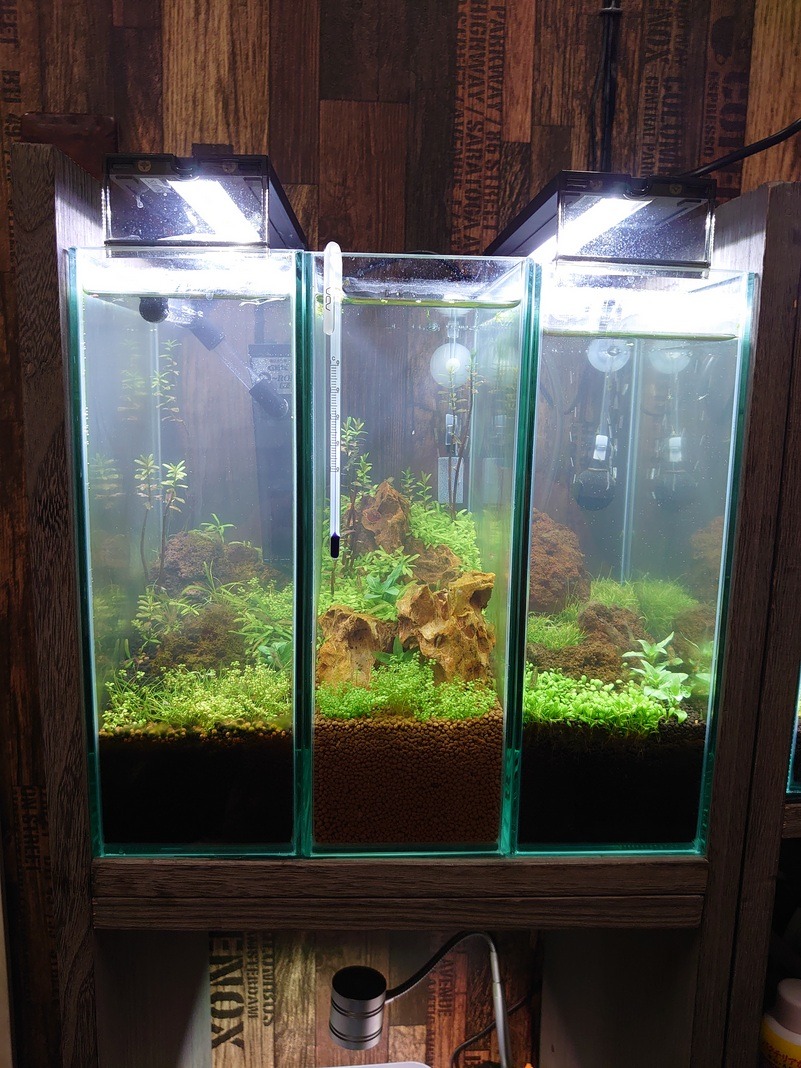 Amazon.co.jp: ジェックス GEX AQUA FILTER e-ROKA イーロカ PF201 ロングシャワー方式 エアレーション機能 流量調整機能付き コンパクト設計水中モーター ...