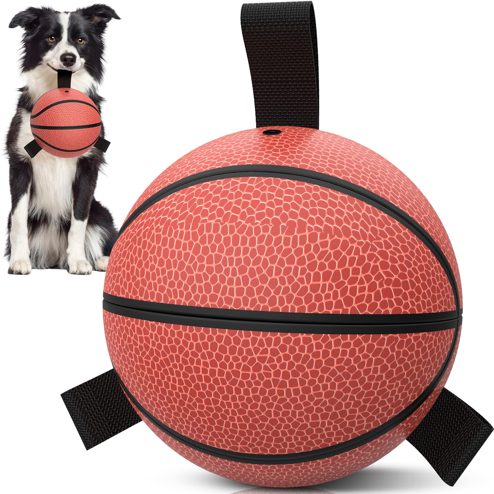Dogs Basketball