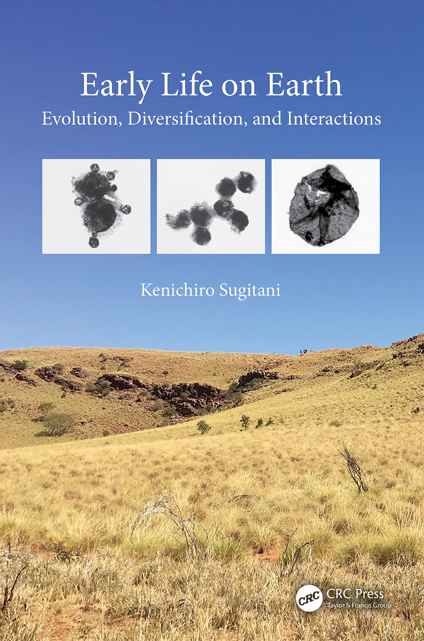Buy Early Life on Earth: Evolution, Diversification, and Interactions ...