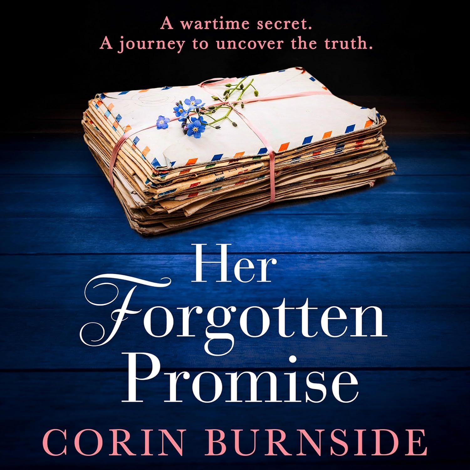Amazon.com: Her Forgotten Promise (Audible Audio Edition): Corin ...