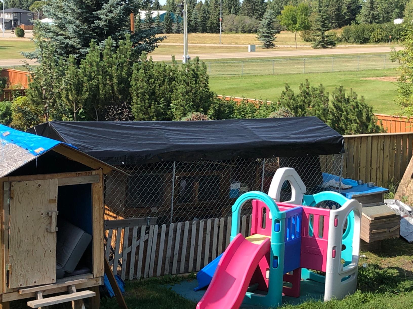 Dog Kennel Cover - WeatherGuard Small All Season Dog Run Cover & Roof ...