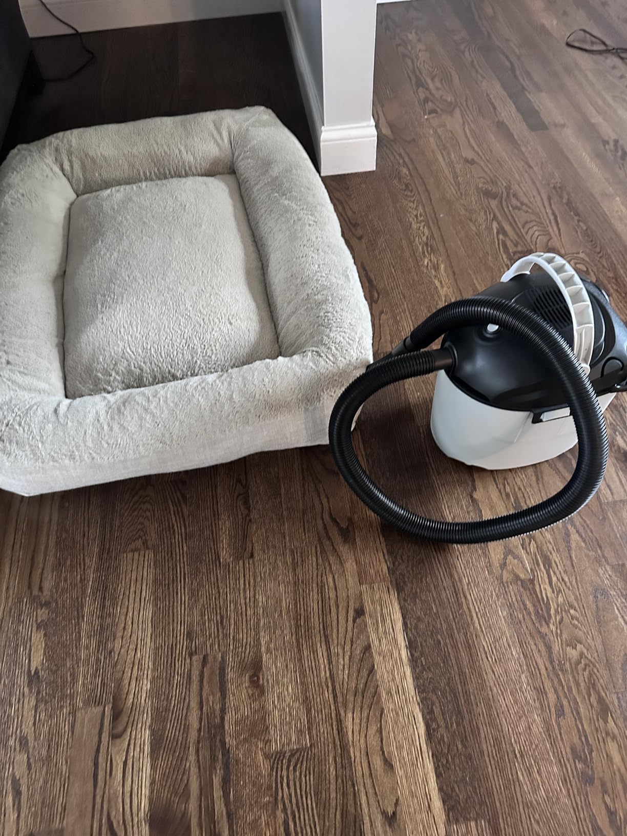 $8/mo - Finance Amazon Basics 2.5 gallon, 2 HP Wet/Dry Vacuum, Grey ...