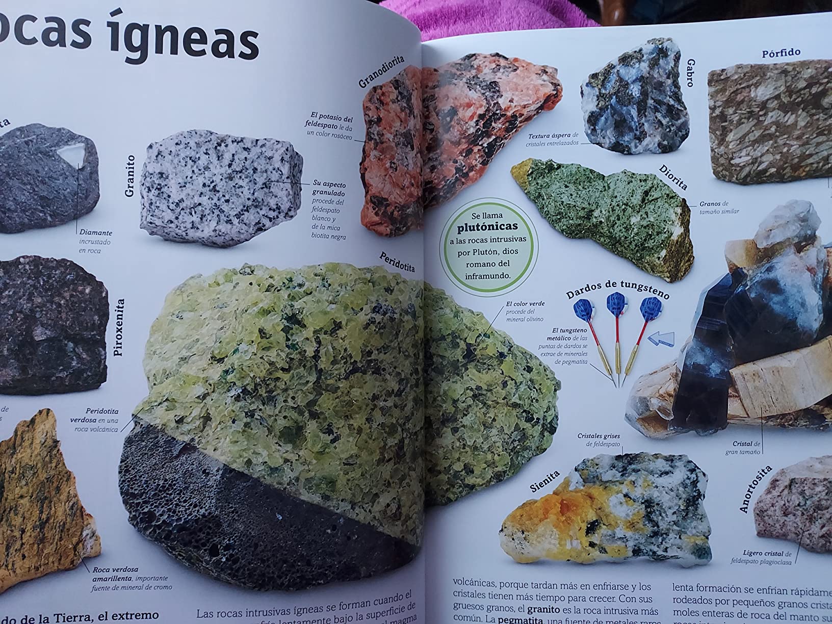 El libro de las rocas y los minerales: ... y otros tesoros del mundo ...