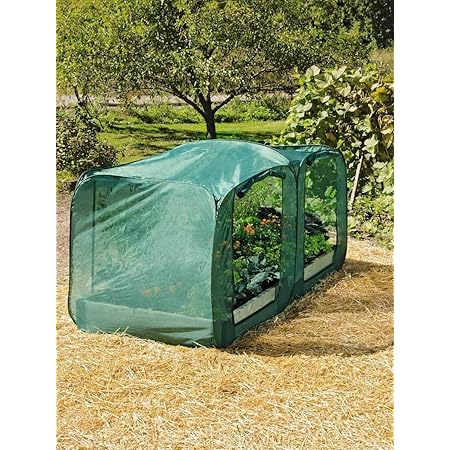 Amazon.com : Gardener's Supply Company - Tall Pop Up Protector, 4' x 8 ...