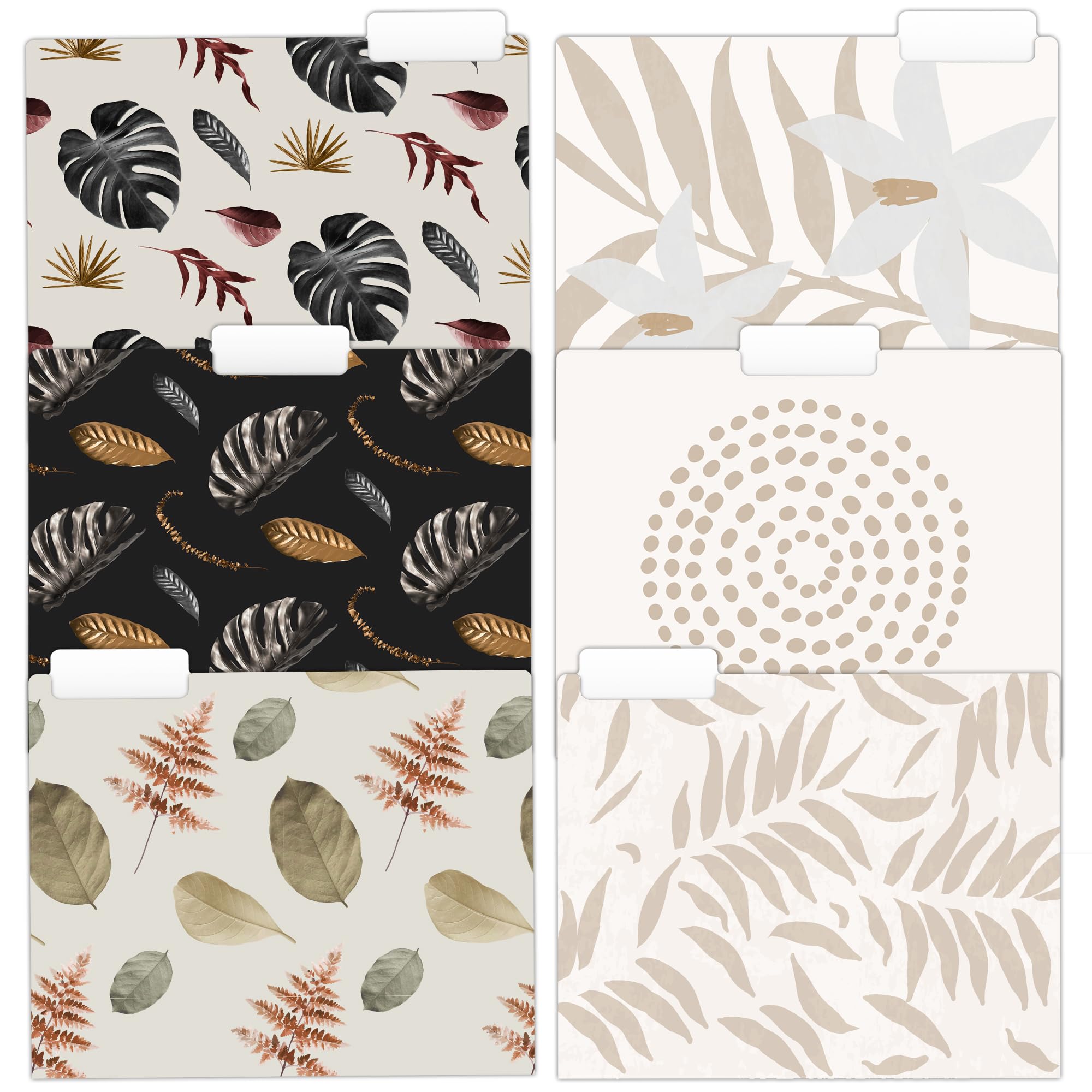 Amazon.com : Xamora SHOP 15 Decorative File Folders, 6 Elegant & Classy ...