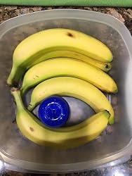 Amazon.com - Bluapple Ethylene Gas Absorber Classic Produce Saver 15 ...