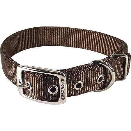 Amazon.com : Hamilton Double Thick Nylon Deluxe Dog Collar, 1-Inch by ...
