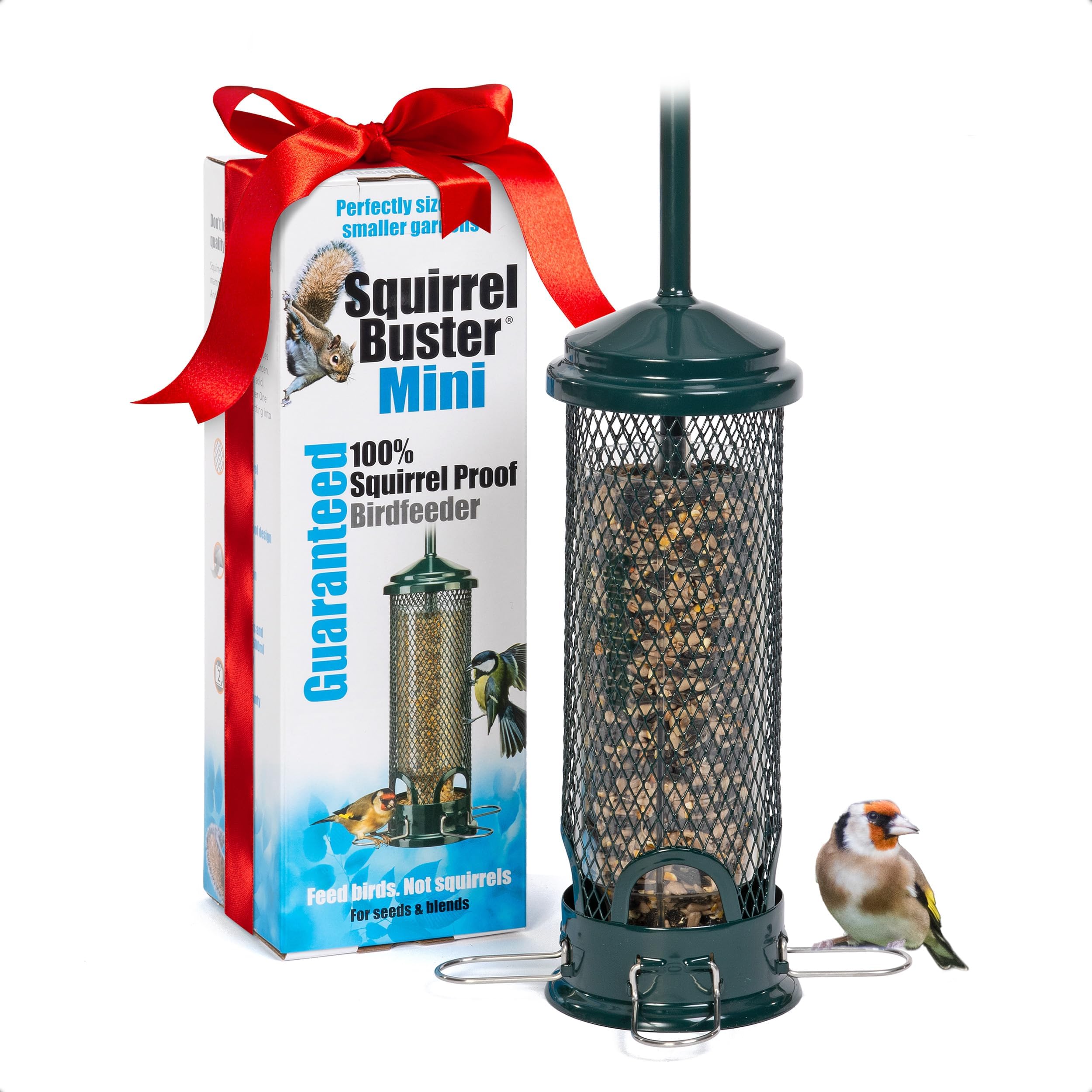 Squirrel-proof Bird Feeder for Small Birds - Jacobi Jayne Squirrel ...