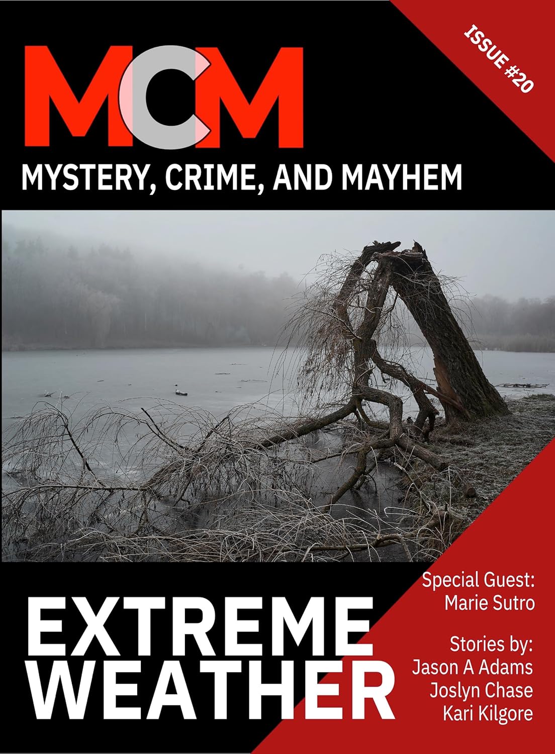 Extreme Weather (Mystery, Crime, and Mayhem Book 20) - Kindle edition ...