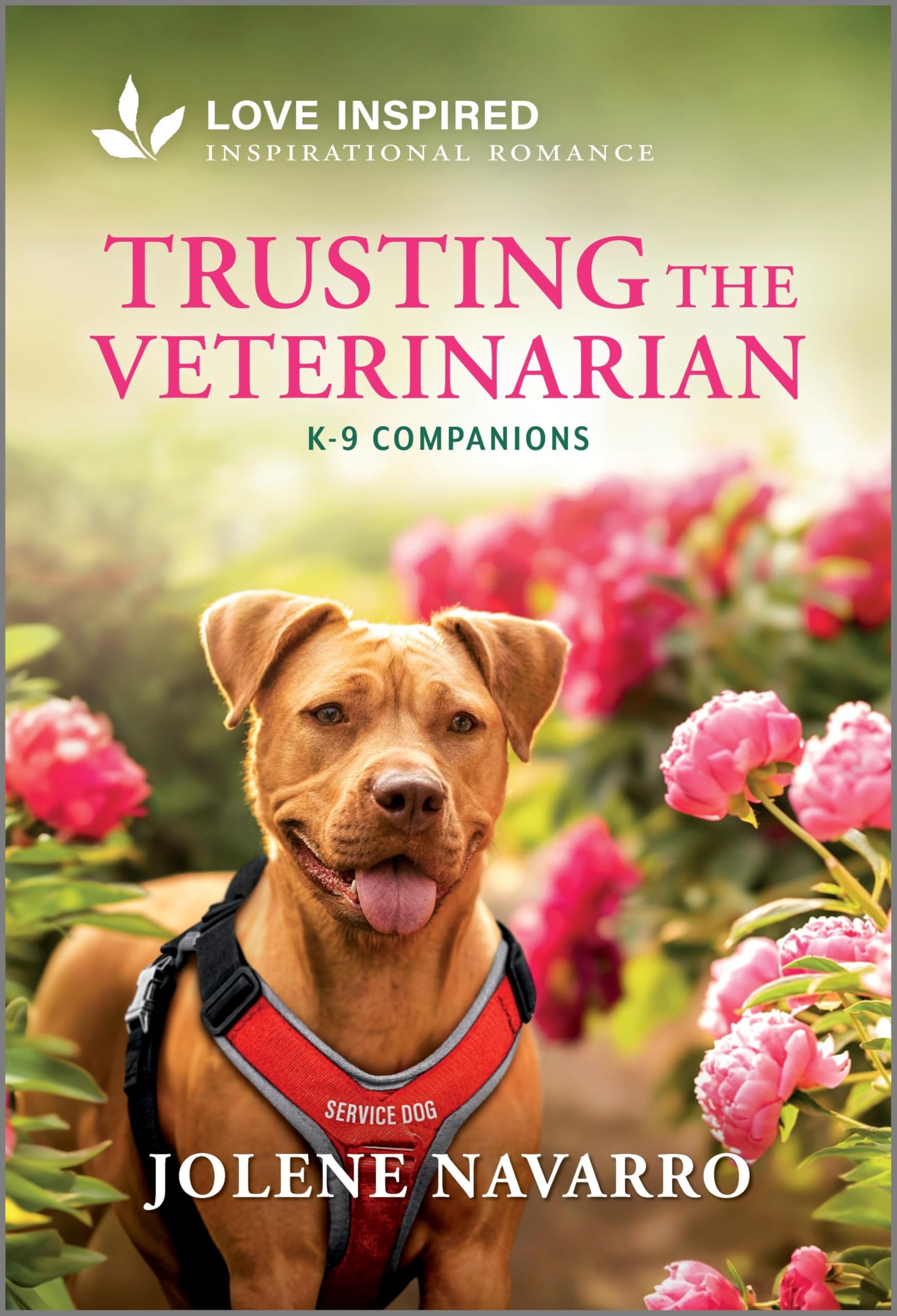 Amazon.in: Jolene Navarro: books, biography, latest update