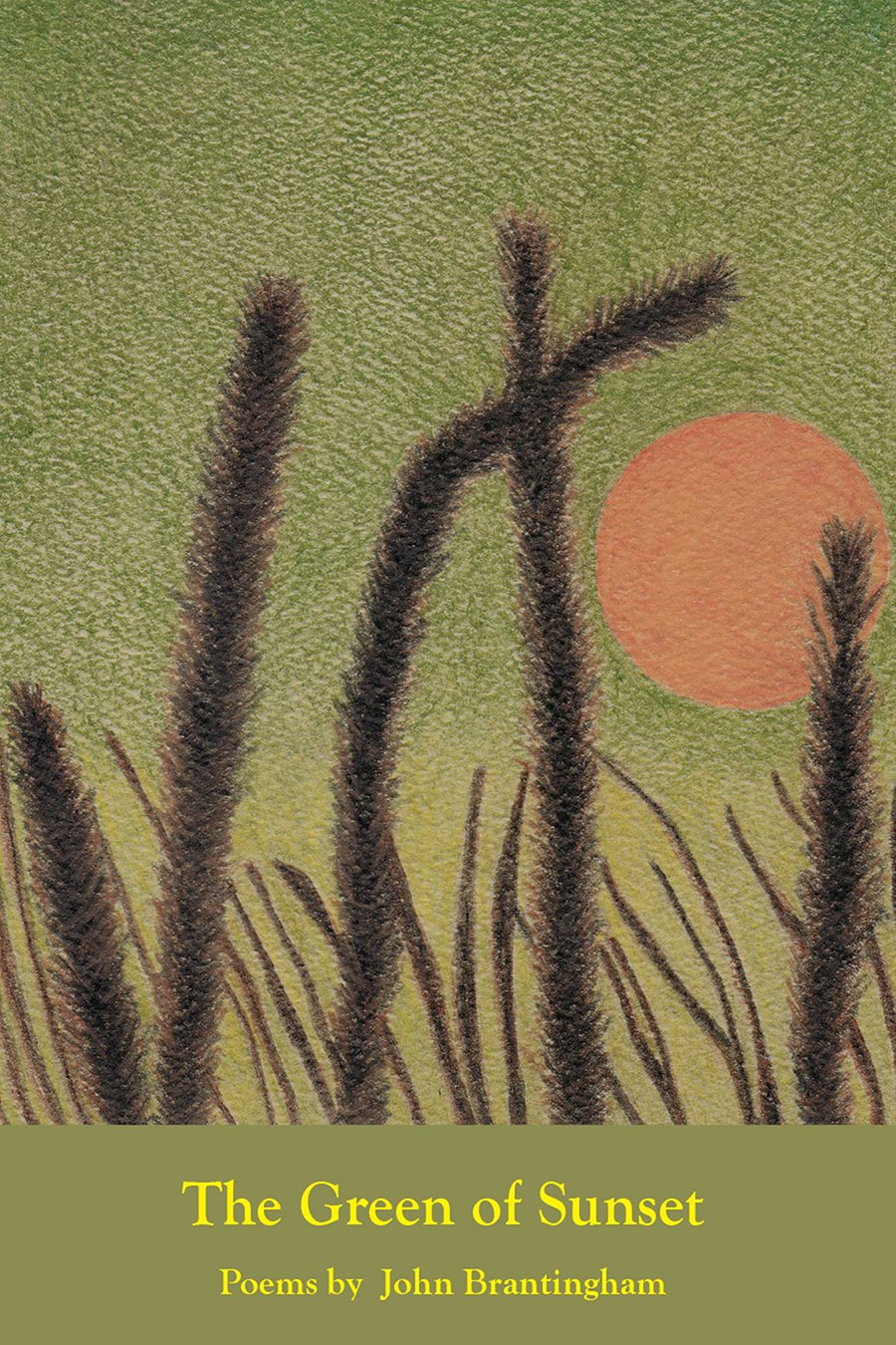 The Green of Sunset - Kindle edition by Brantingham, John. Literature ...