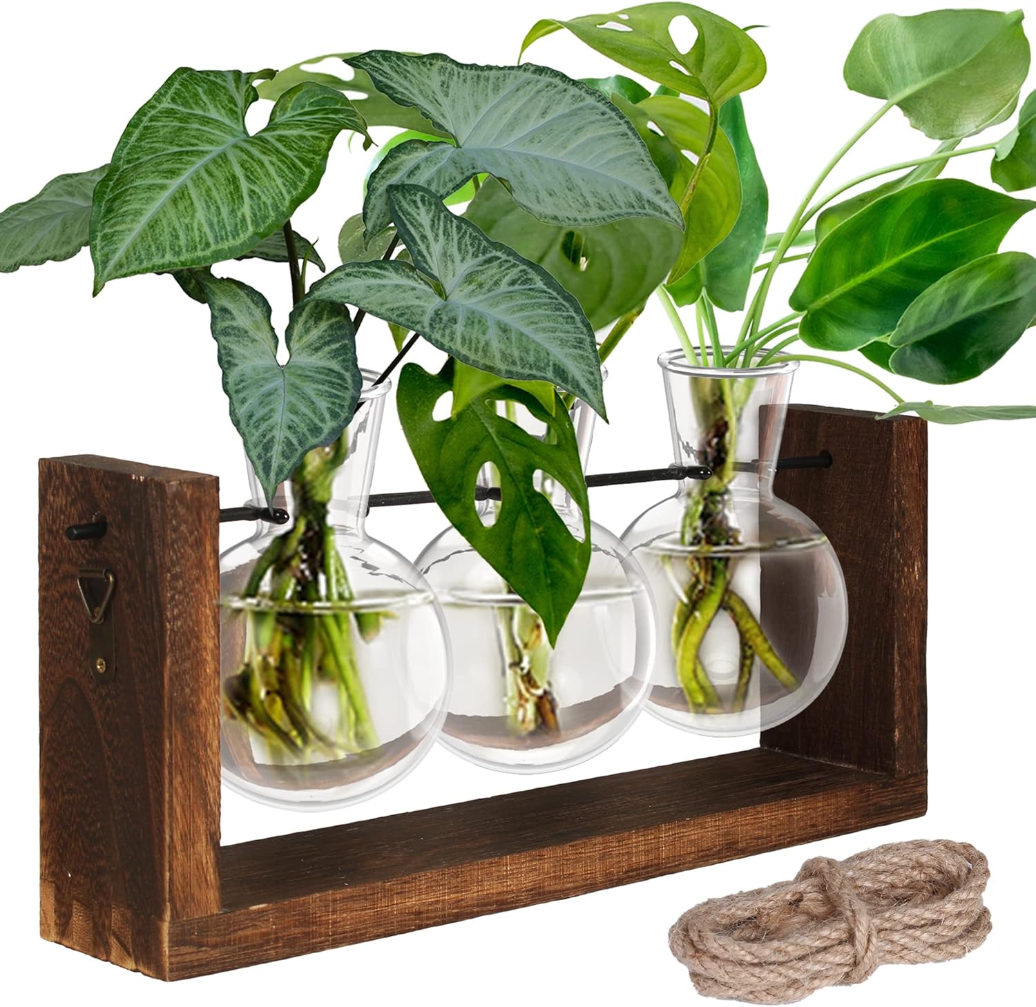Amazon.com: Plant Propagation Station, Plant Terrarium with Wooden ...