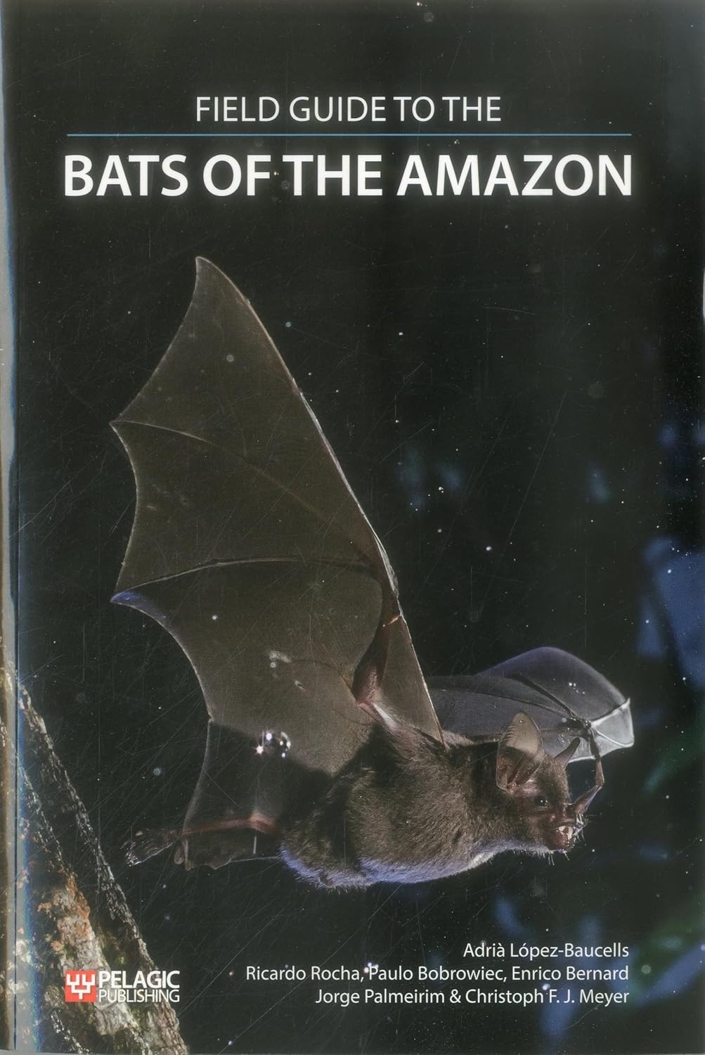 Field Guide to the Bats of the Amazon (Bat Biology and Conservation ...