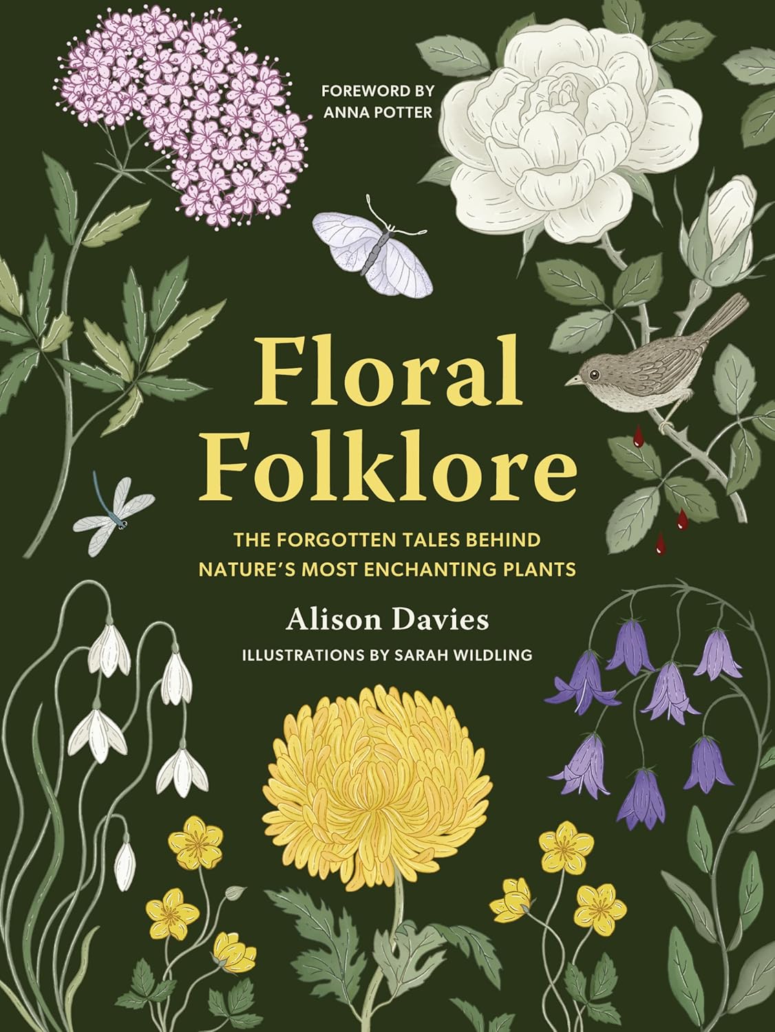 Floral Folklore: The forgotten tales behind nature’s most enchanting ...