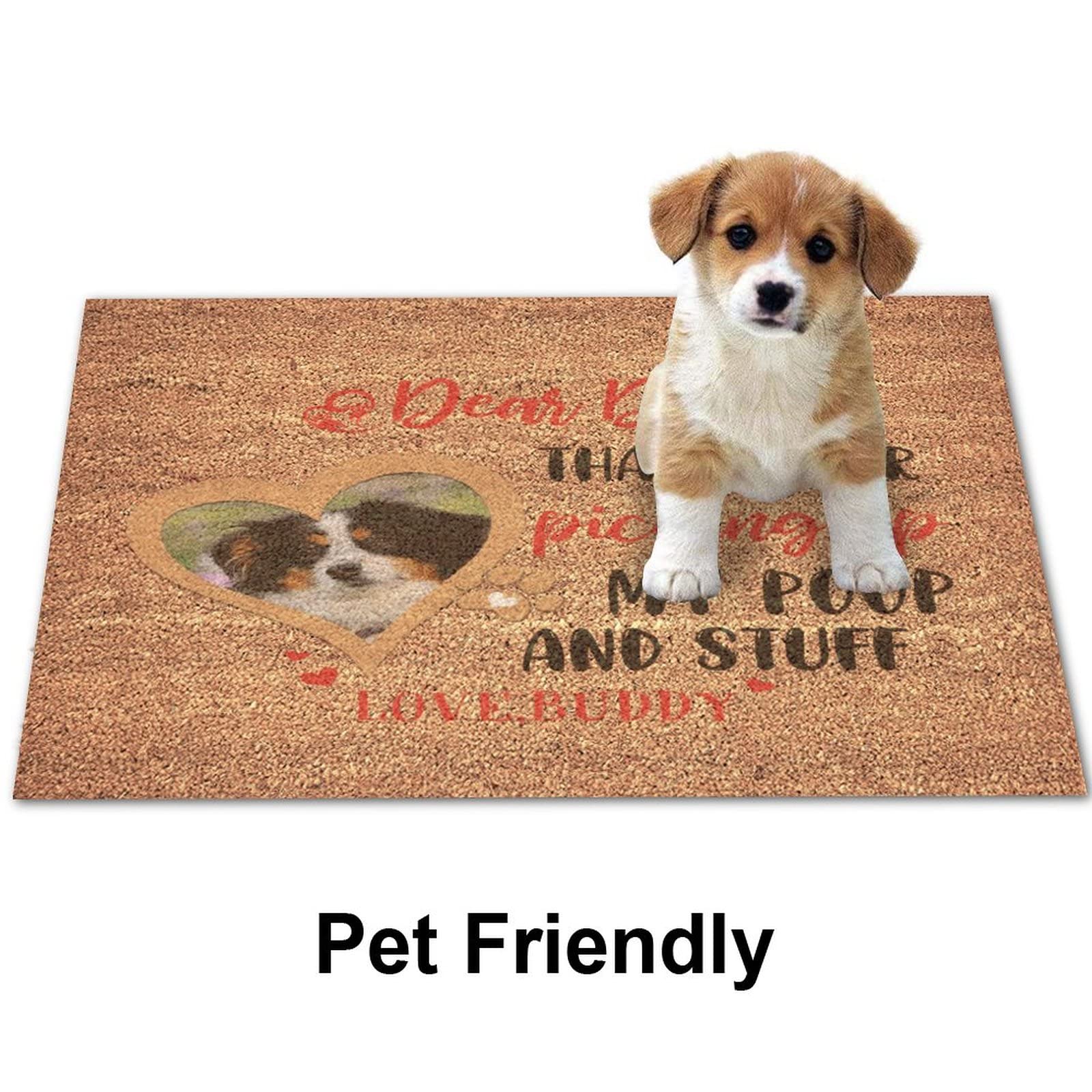 Dog Poops Out Rug