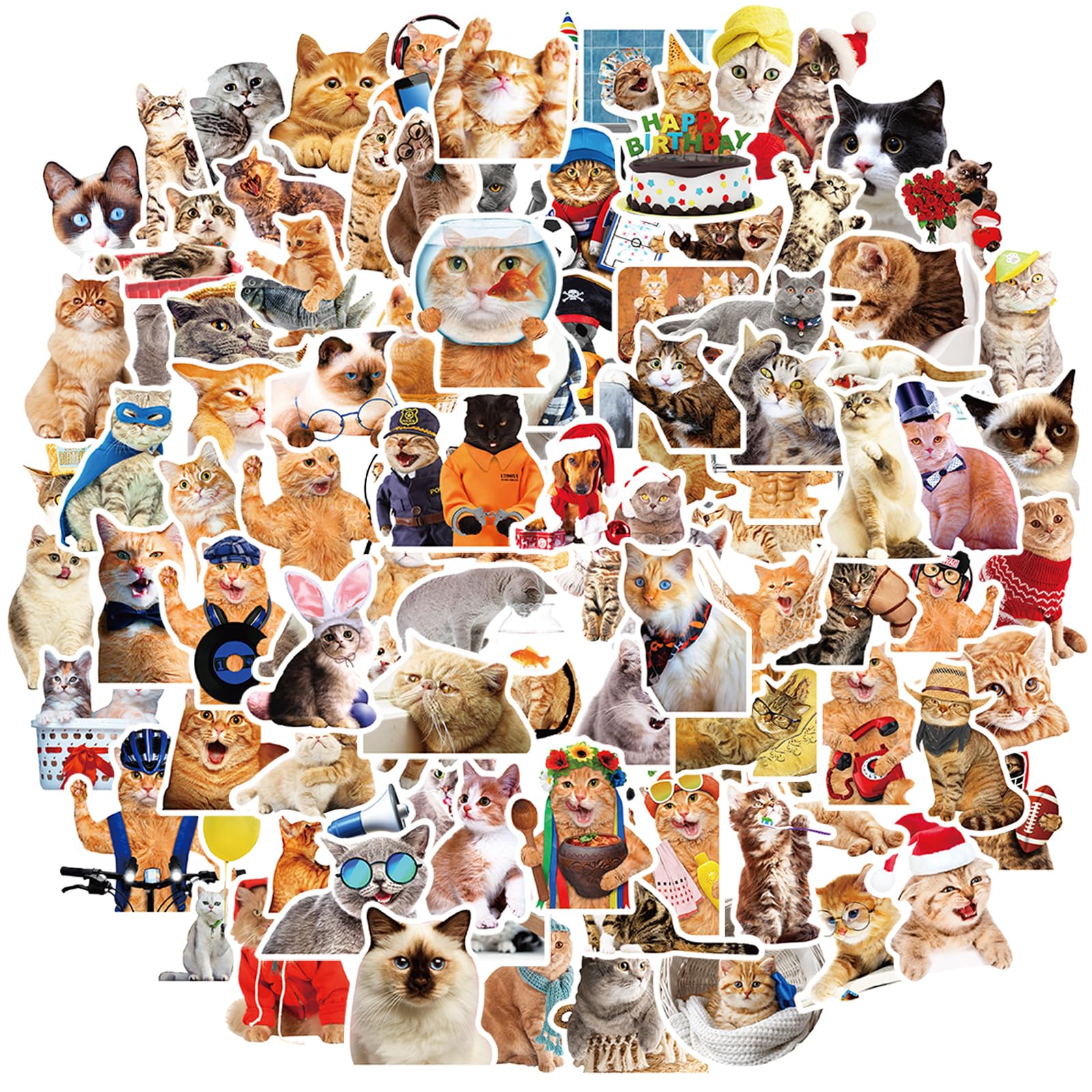 Amazon.com: TIESOME Funny Cat Decals Stickers, 100 Pcs Kawaii Cat ...