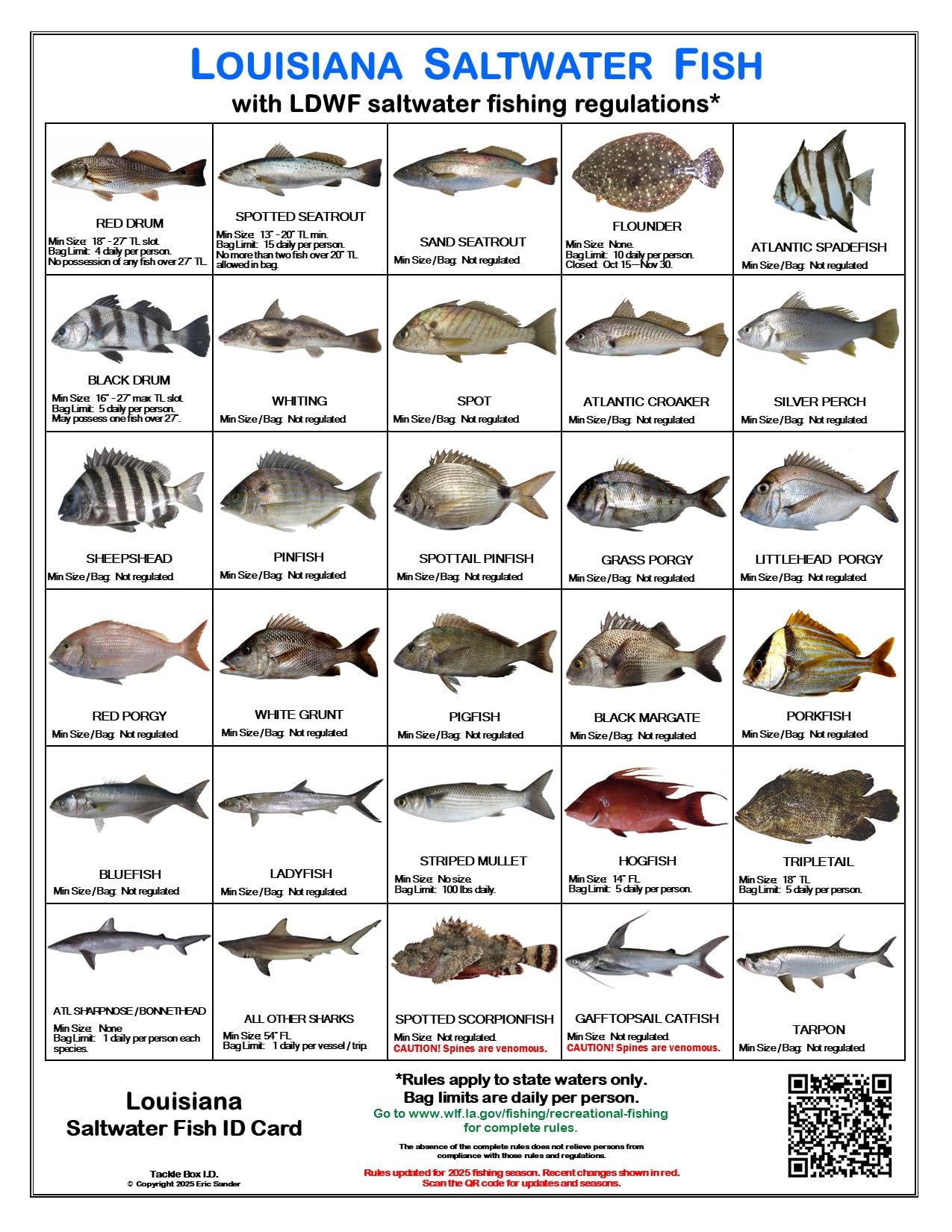 Louisiana Saltwater Fish Identification Card Set Three Waterproof Cards ...