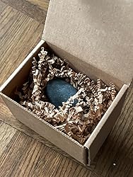 Amazon.com: Pet Rock - The Original by Gary Dahl : Pet Supplies