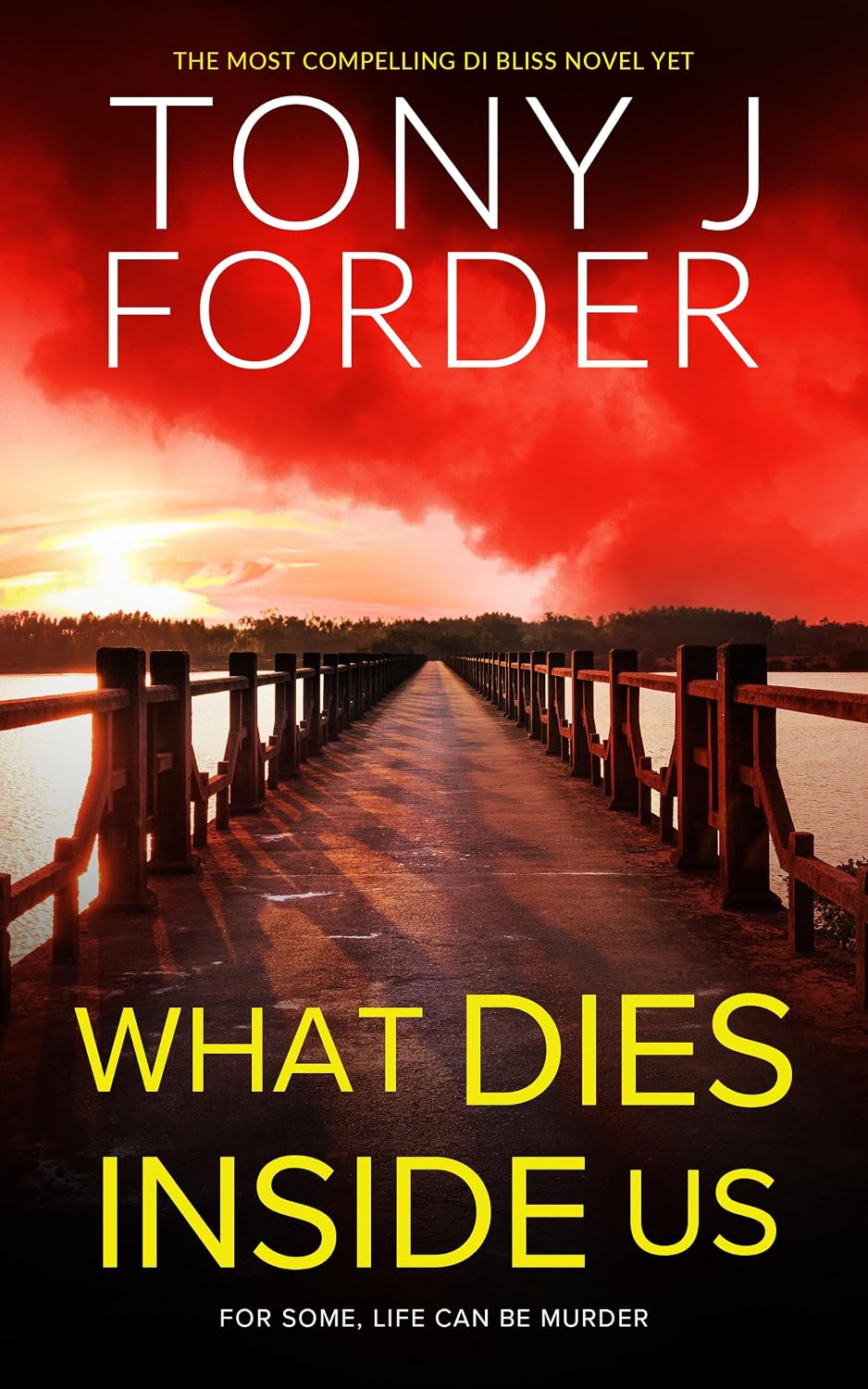 What Dies Inside Us (The DI Jimmy Bliss Crime Series Book 11) eBook : J ...