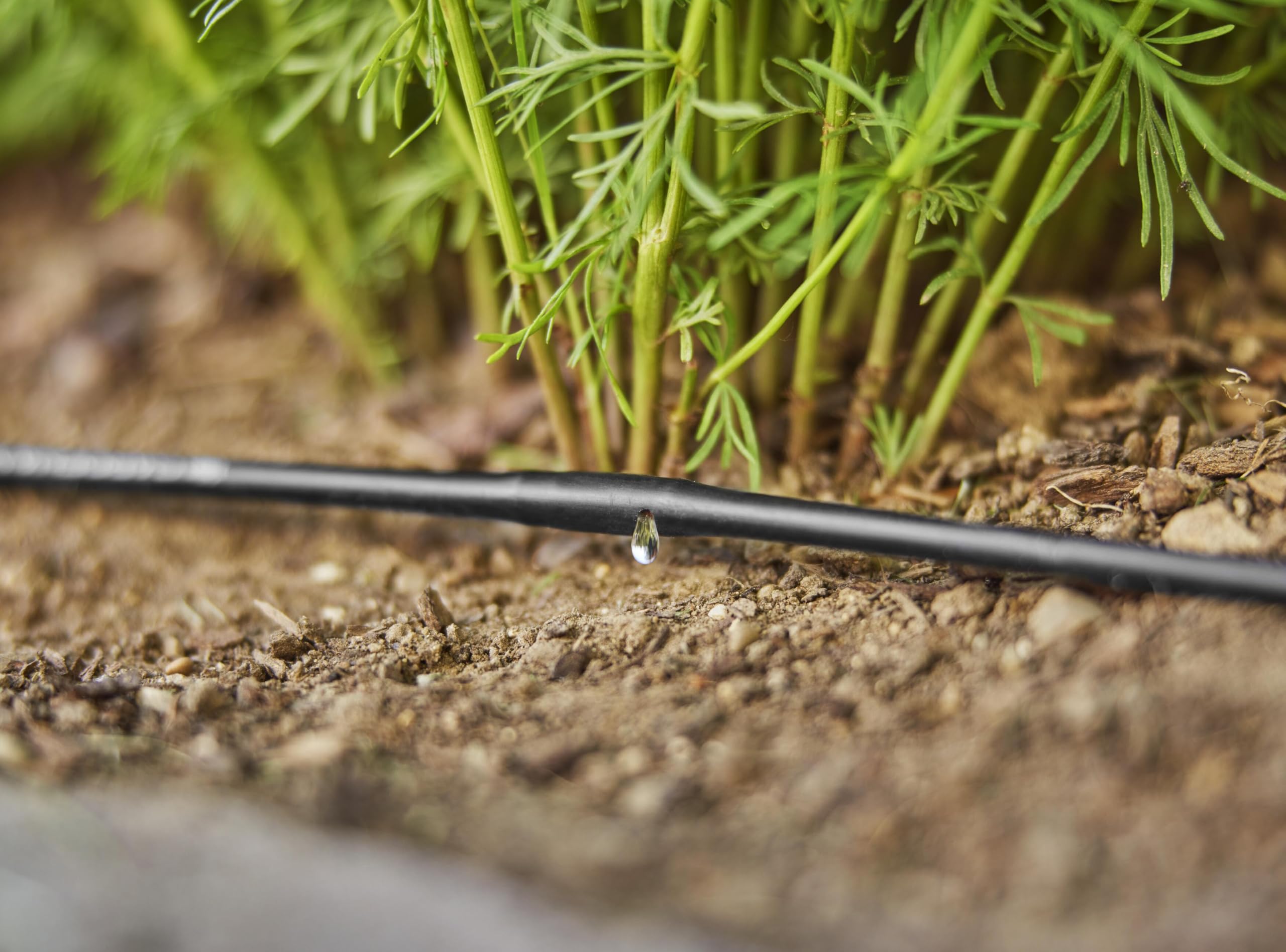 Micro Line Irrigation Installations