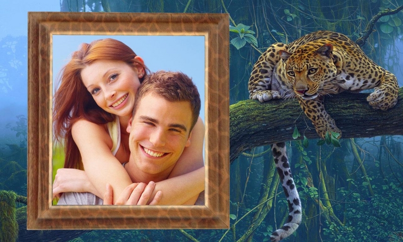 Jungle Photo Frames Maker:Amazon.co.uk:Appstore for Android