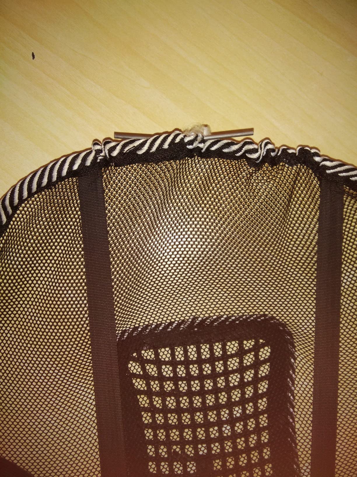 Woschmann Plastic Back Rest With Lumbar Support (Set Of 2, Black ...