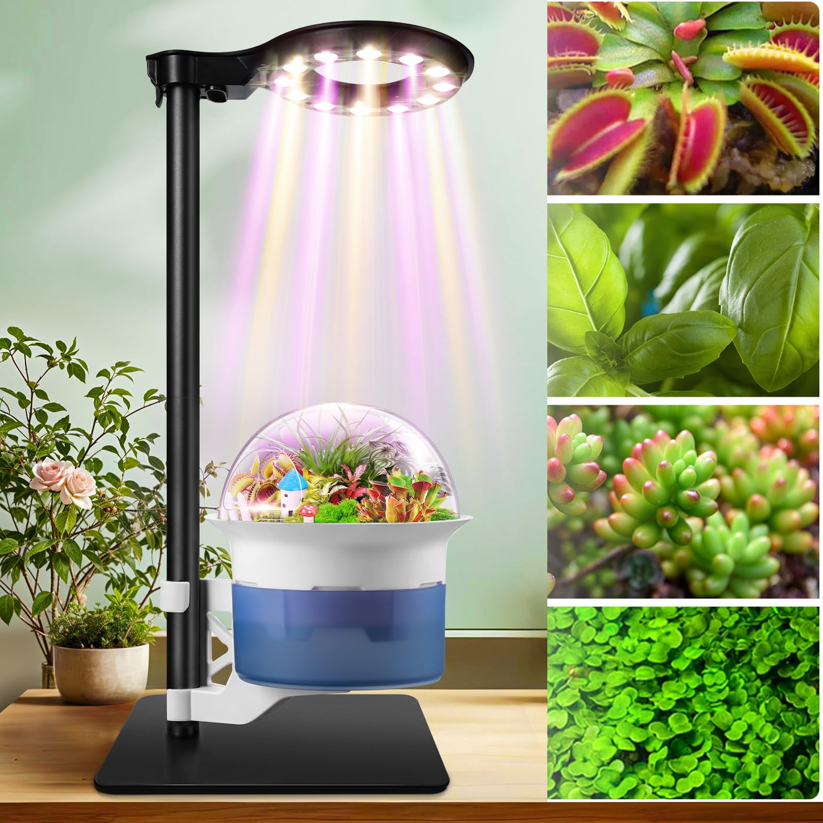 Amazon.com: Smart Plant Lights for Indoor Growing,Venus Fly Trap ...