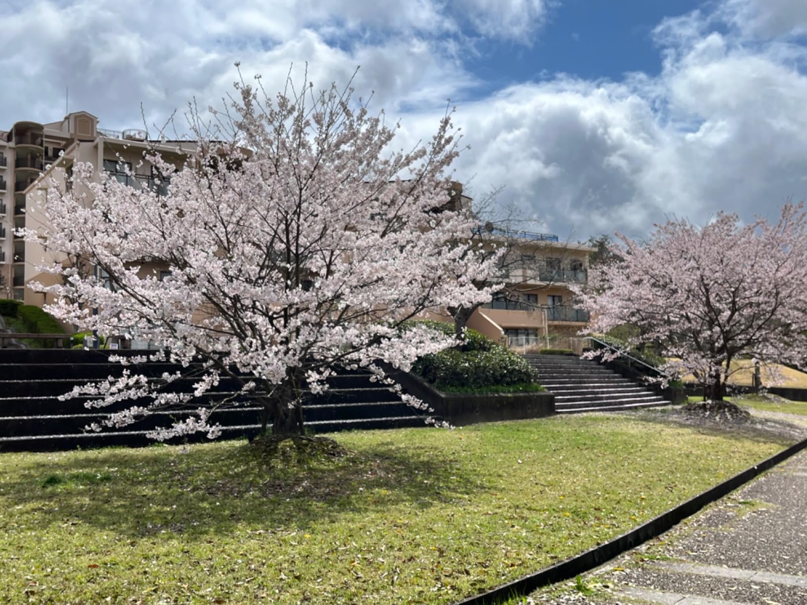 Amazon.co.jp: ECI-BR114P/BOX : パソコン・周辺機器