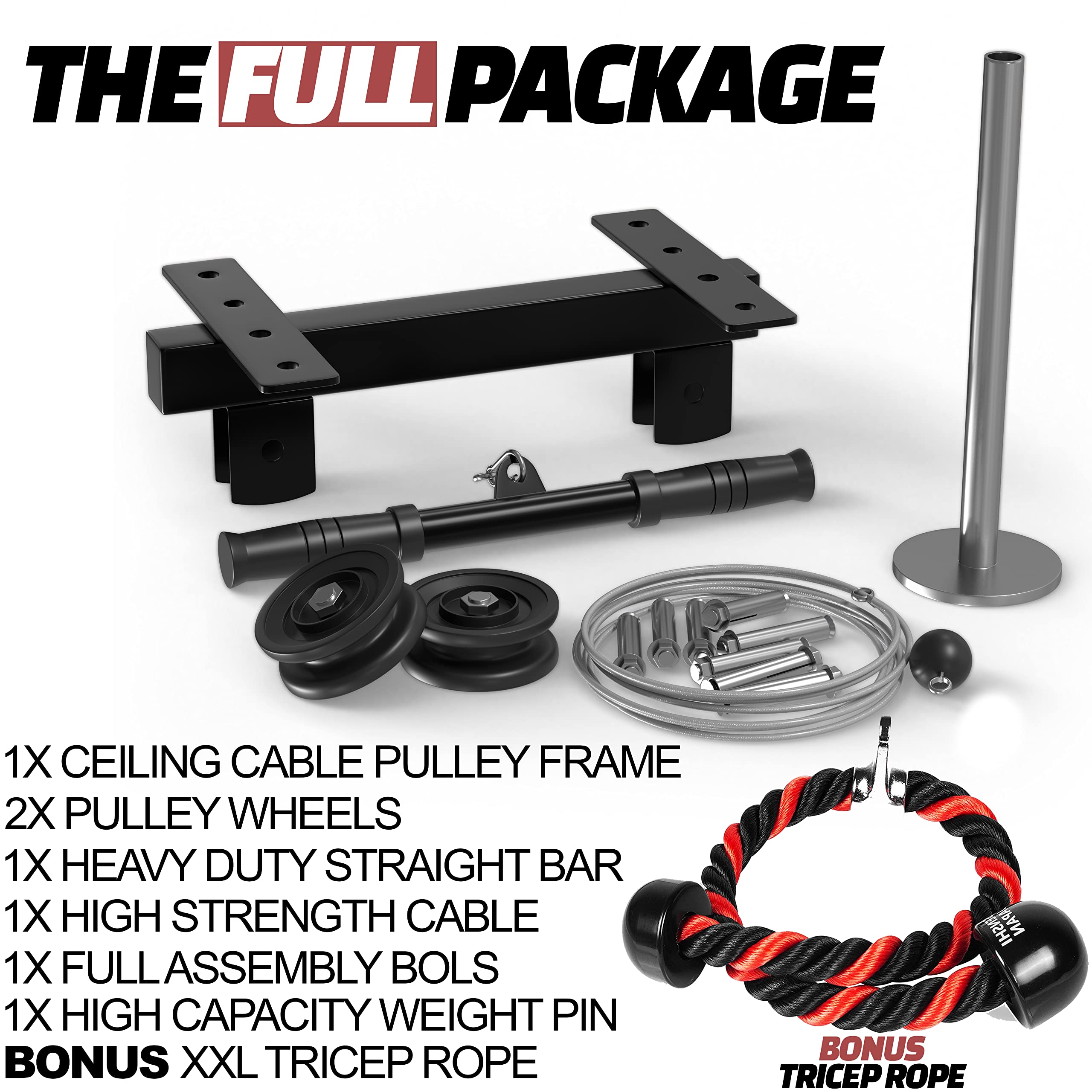 Senshi Japan Ceiling Mounted Pulley Cable Machine, Ideal For Lat ...