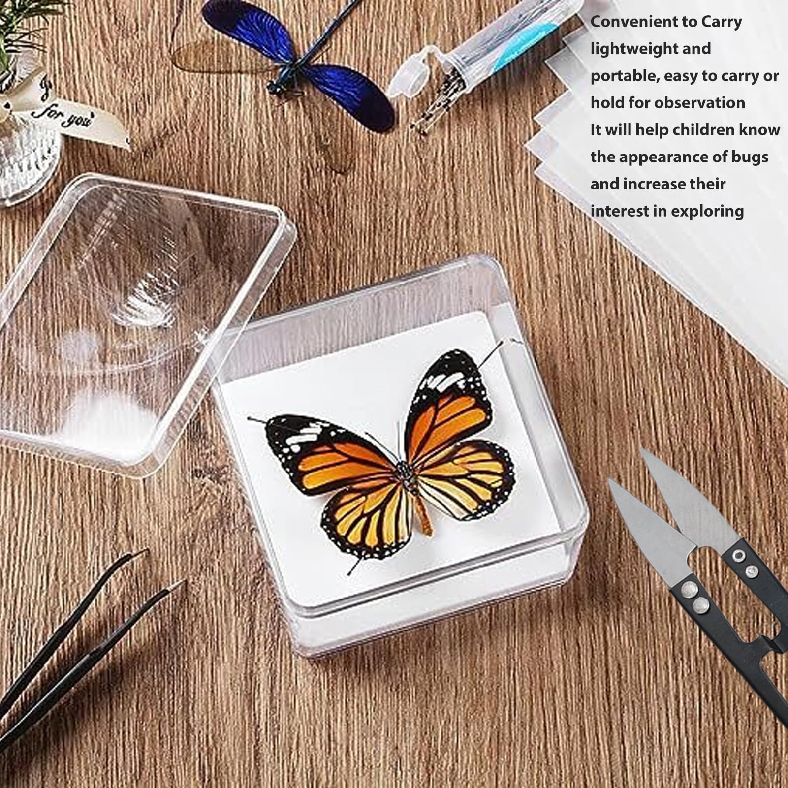 Insect Specimen Tools Kit, 8 Sheets Paper Press EVa Foam Butterfly ...