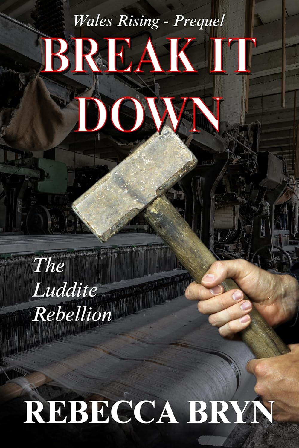 Break It Down: Prequel - The Luddite rebellion (Wales Rising Book 1 ...