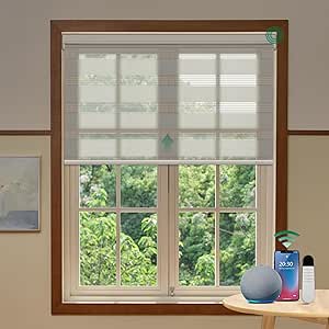 Amazon.com: Allesin Motorized Zebra Blinds for Windows - Remote Controlled, Alexa - Compatible ...