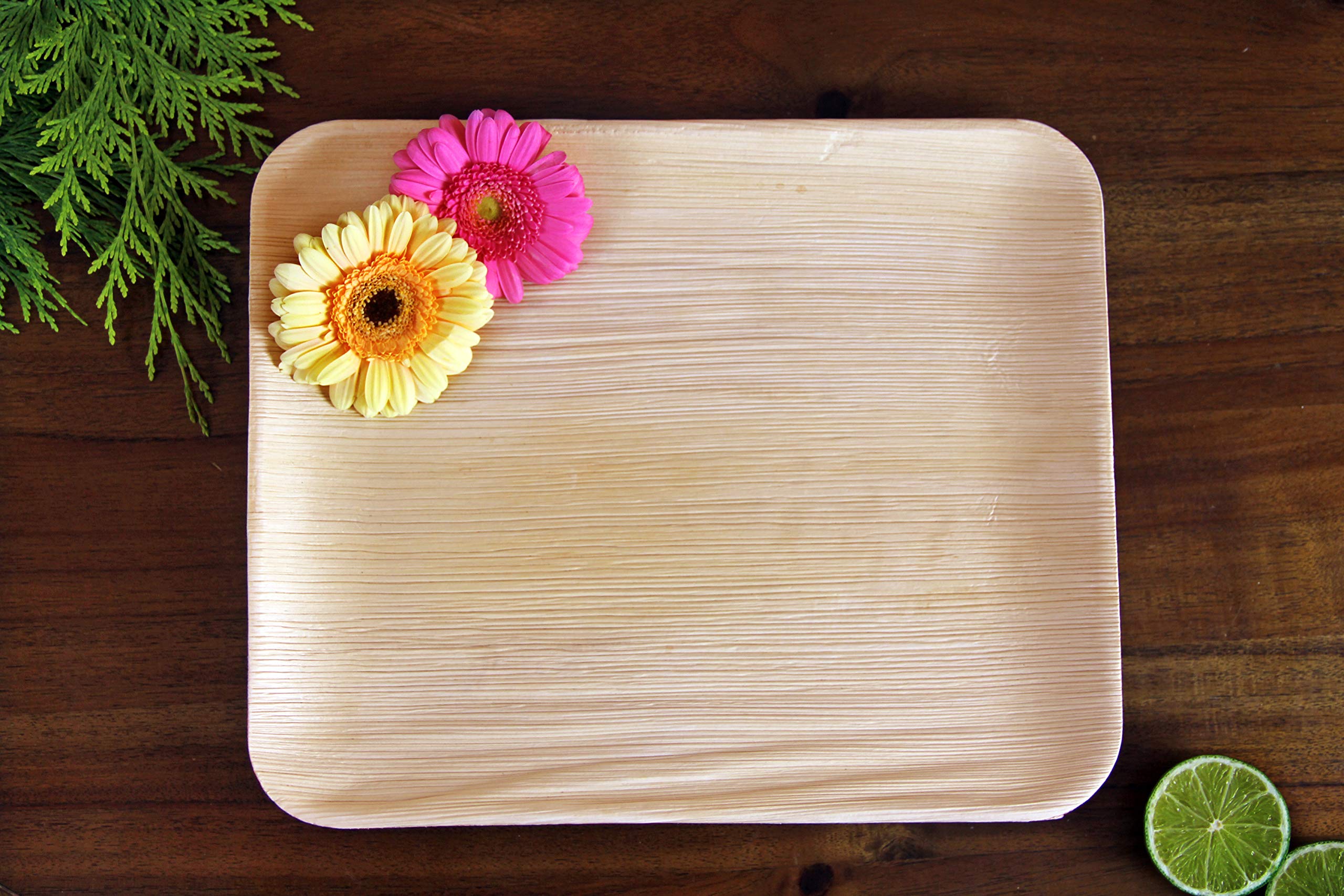 FOOGO Green 10 Disposable Palm Leaf Serving Trays | Large 12x10 inch ...