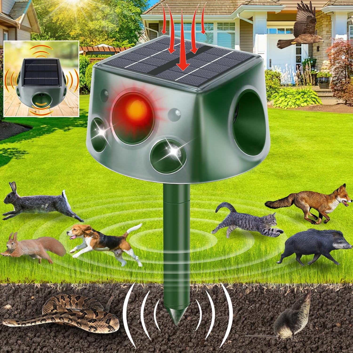 Amazon.com: JNKNT Squirrel Repeller Outdoor, 360° Solar Ultrasonic ...