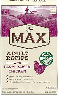 Sinking Your Teeth into NUTRO MAX Adult Recipe: A Taste Test and Review ...