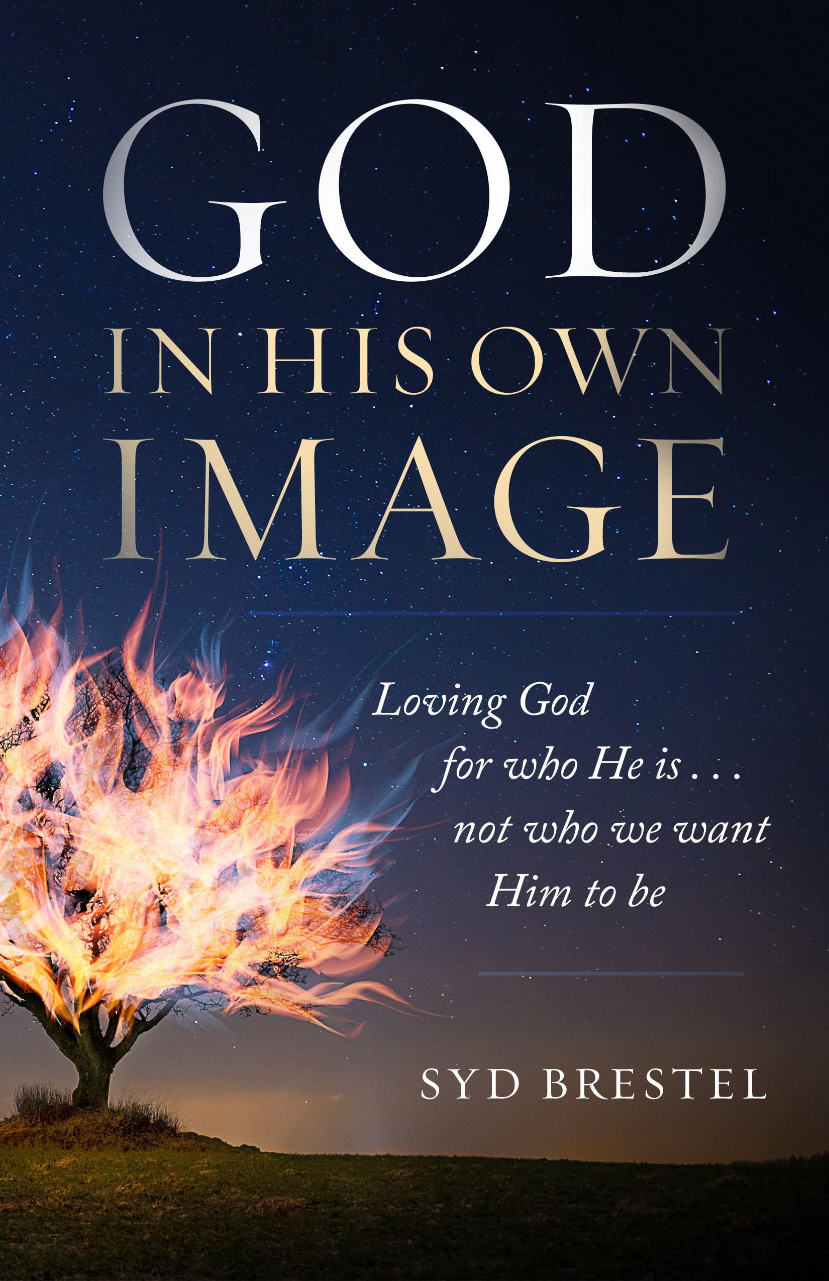 God In His Own Image: Loving God for Who He Is... Not Who We Want Him ...